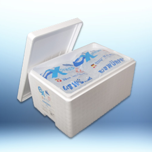 Kühlbox einweg für bis zu 20 Kg Eis (ohne Eis / Box ohne Rücknahme ...